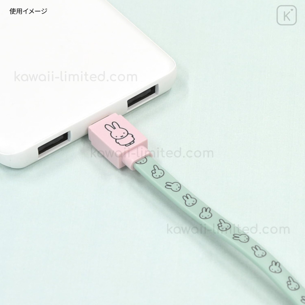 Japan Miffy PD60W USB Type-C Sync & Power Cable - Miffy | Kawaii Limited