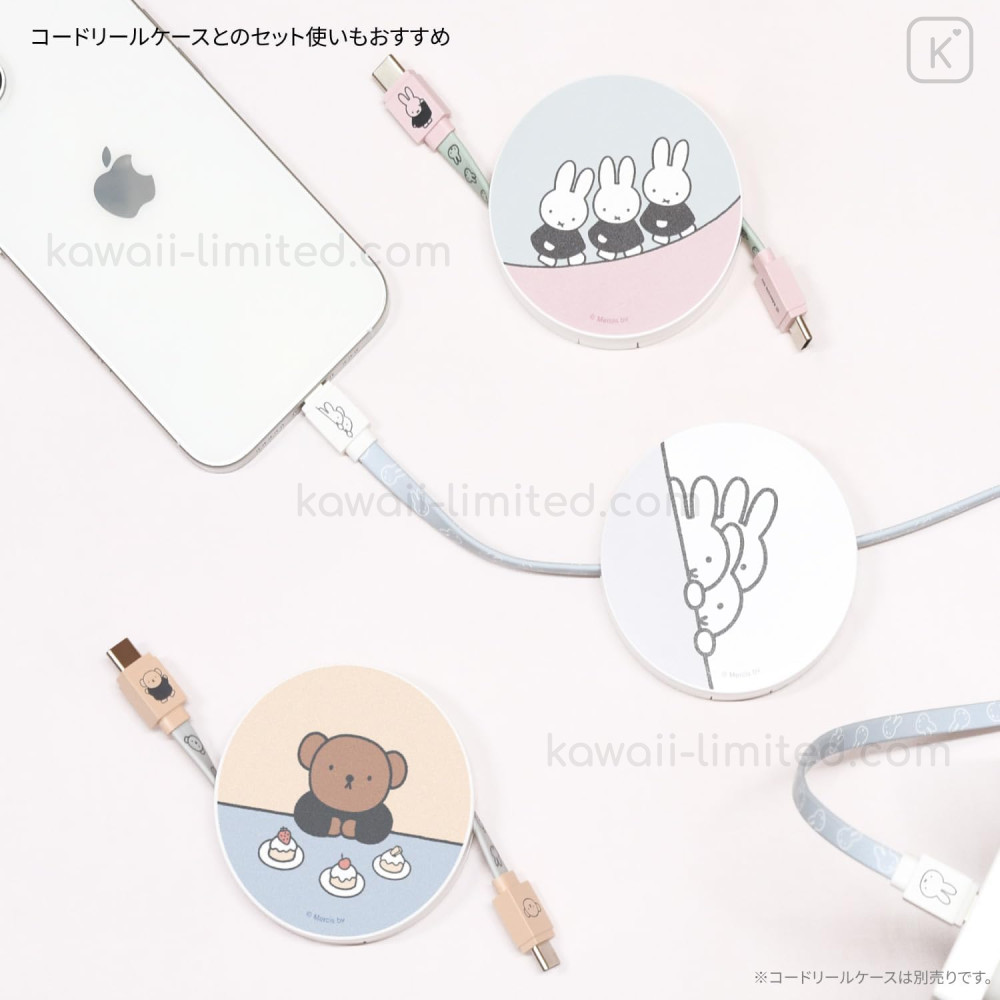 Japan Miffy PD60W USB Type-C Sync & Power Cable - Miffy | Kawaii Limited